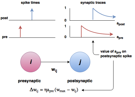 STDP Learning of Image Patches with Convolutional Spiking Neural Networks | DeepAI