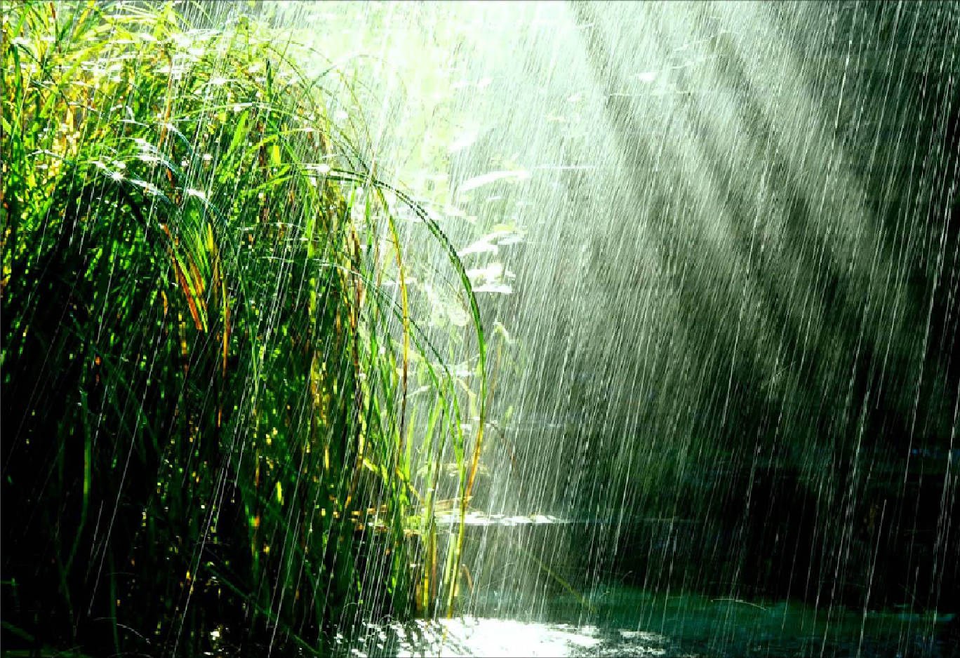 Rain Streak Removal for Single Image via Kernel Guided CNN | DeepAI