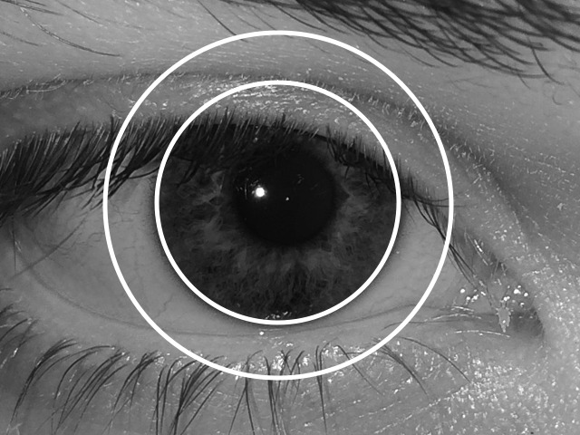 Iris Recognition with a Database of Iris Images Obtained in Visible ...