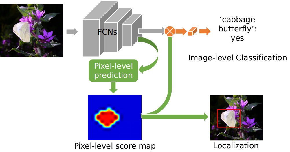 Global Weighted Average Pooling Bridges Pixel-level Localization and Image-level Classification ...