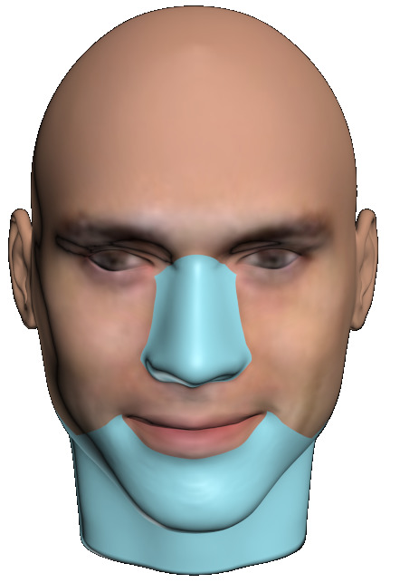 Superimposition-guided Facial Reconstruction from Skull | DeepAI