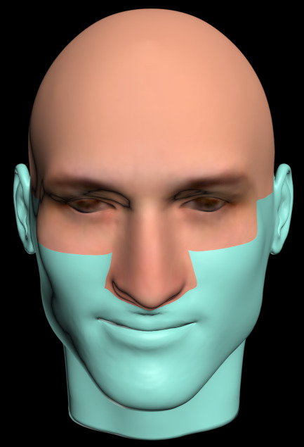 Superimposition-guided Facial Reconstruction from Skull | DeepAI