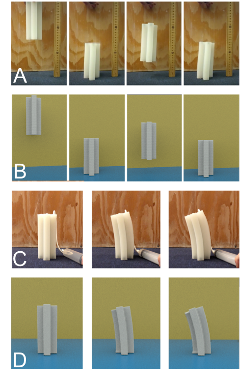 ChainQueen: A Real-Time Differentiable Physical Simulator for Soft Robotics | DeepAI