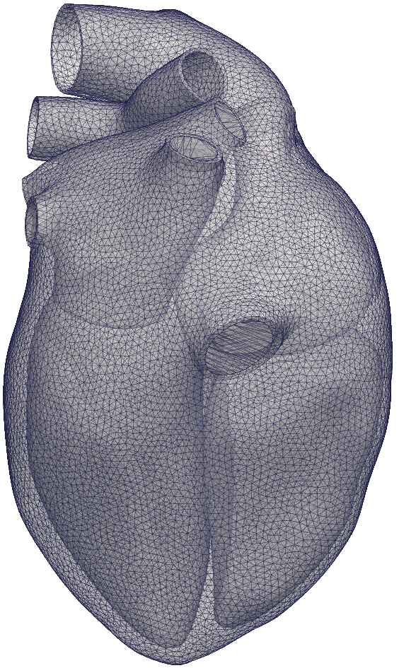 The importance of the pericardium for cardiac biomechanics: From ...