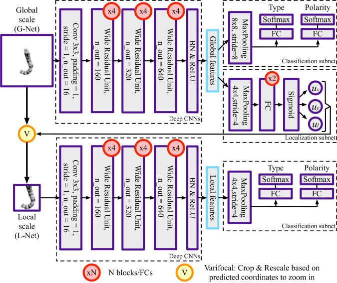 Varifocal-Net: A Chromosome Classification Approach using Deep ... Varifocal-Net: A Chromosome Classification Approach using Deep ...