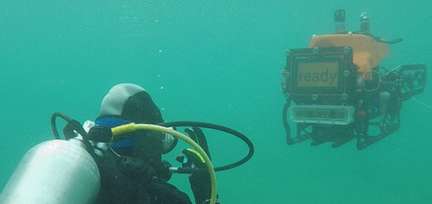 Robust Gesture-Based Communication for Underwater Human-Robot Interaction in the context of ...