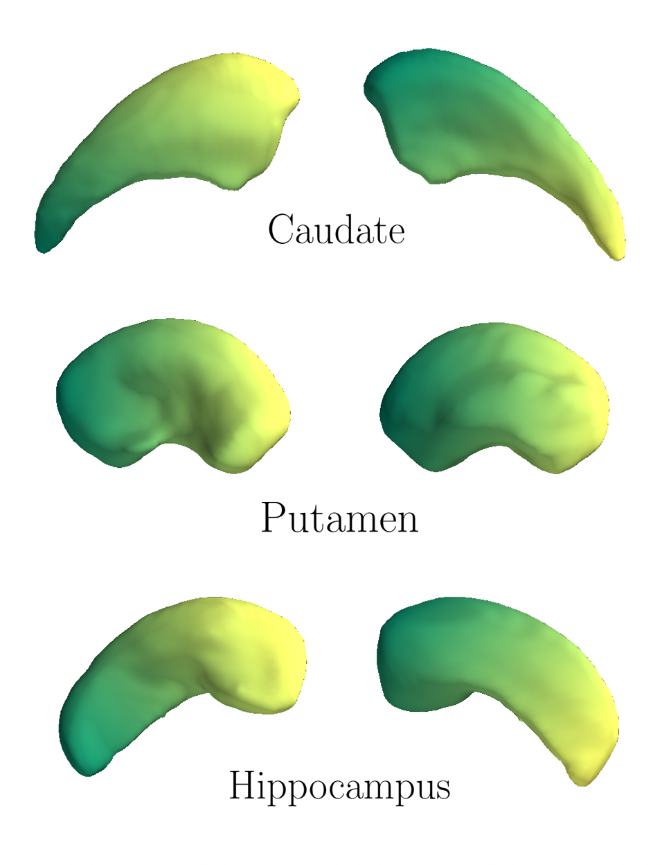 A Convolutional Autoencoder Approach To Learn Volumetric Shape 1658