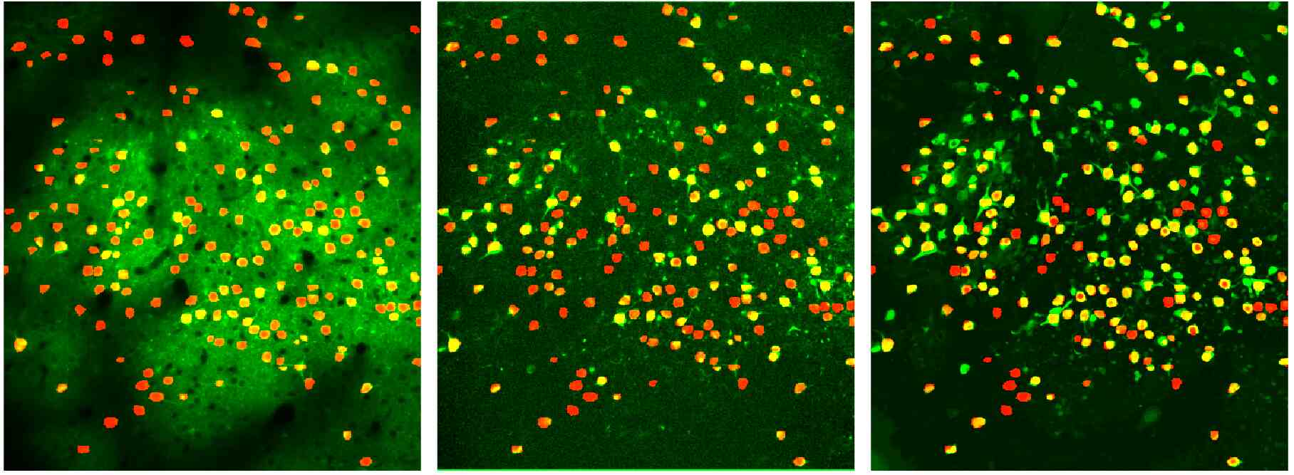 Spectral Embedding Norm: Looking Deep into the Spectrum of the Graph ...