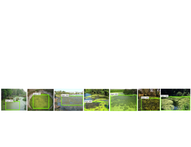 Algae Detection Using Computer Vision And Deep Learning Deepai