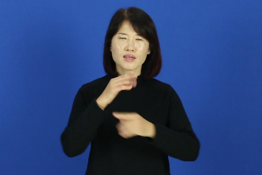 Neural Sign Language Translation based on Human Keypoint Estimation ...