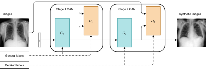 General-to-Detailed GAN for Infrequent Class Medical Images | DeepAI