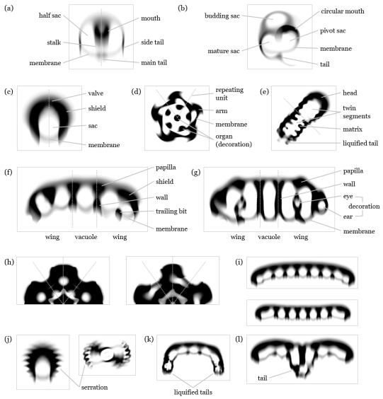 Lenia - Biology of Artificial Life | DeepAI