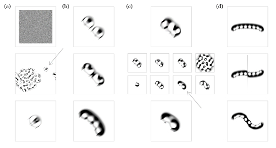 Lenia - Biology of Artificial Life | DeepAI