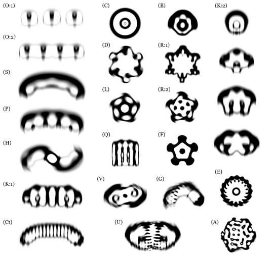 Lenia - Biology of Artificial Life | DeepAI