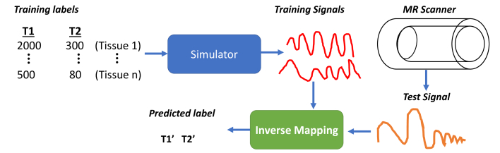 Magnetic Resonance Fingerprinting using Recurrent Neural Networks | DeepAI