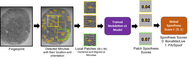 Fingerprint Presentation Attack Detection: Generalization and Efficiency | DeepAI