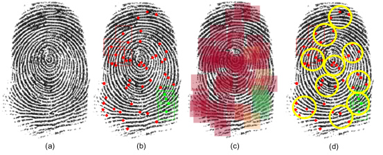 Fingerprint Presentation Attack Detection: Generalization and Efficiency | DeepAI