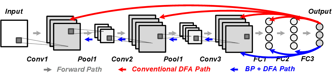 Efficient Convolutional Neural Network Training with Direct Feedback Alignment | DeepAI