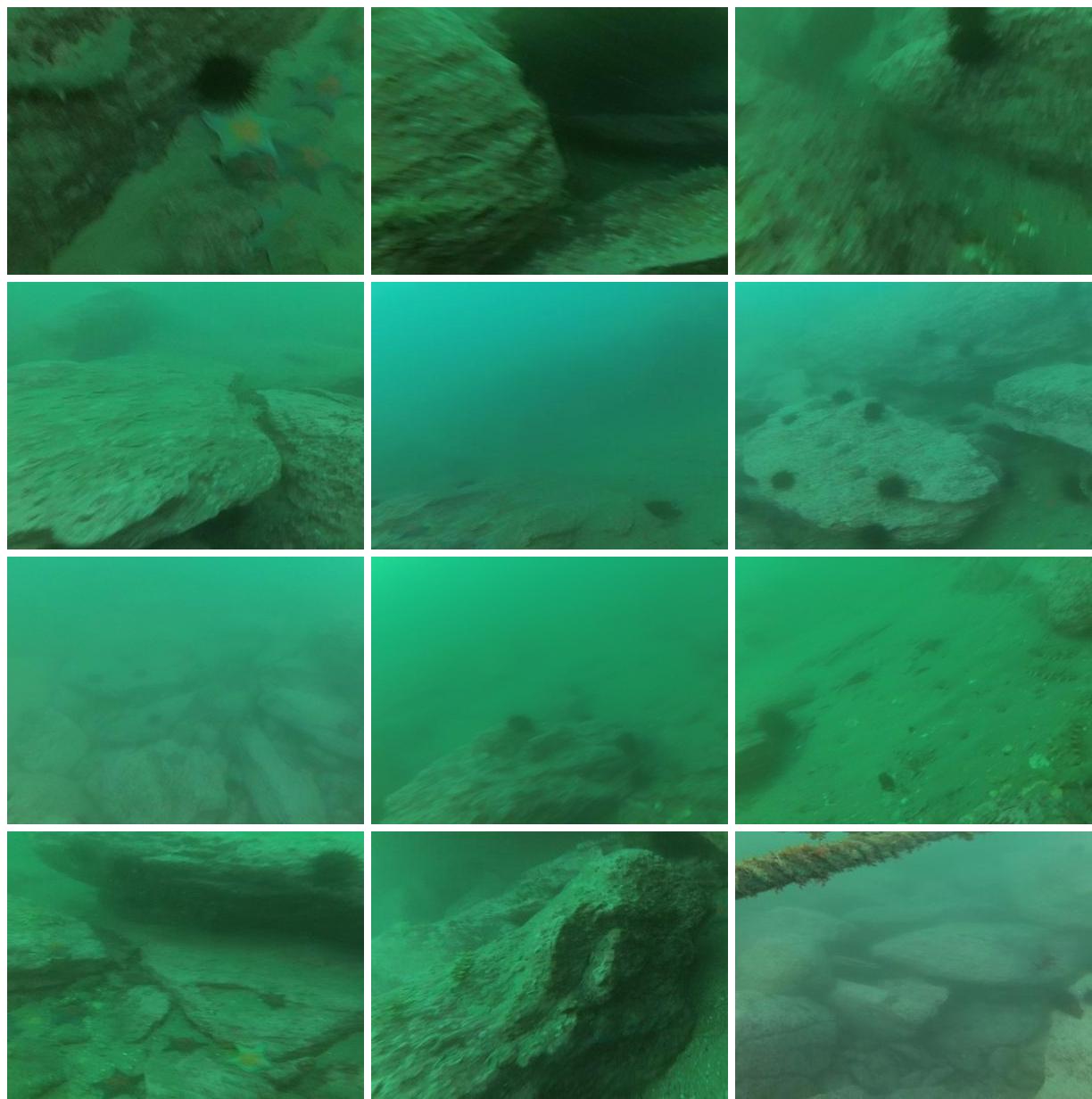 Real-world Underwater Enhancement: Challenging, Benchmark and Efficient Solutions | DeepAI