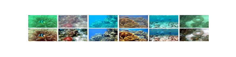 An Underwater Image Enhancement Benchmark Dataset and Beyond | DeepAI An Underwater Image Enhancement Benchmark Dataset and Beyond | DeepAI