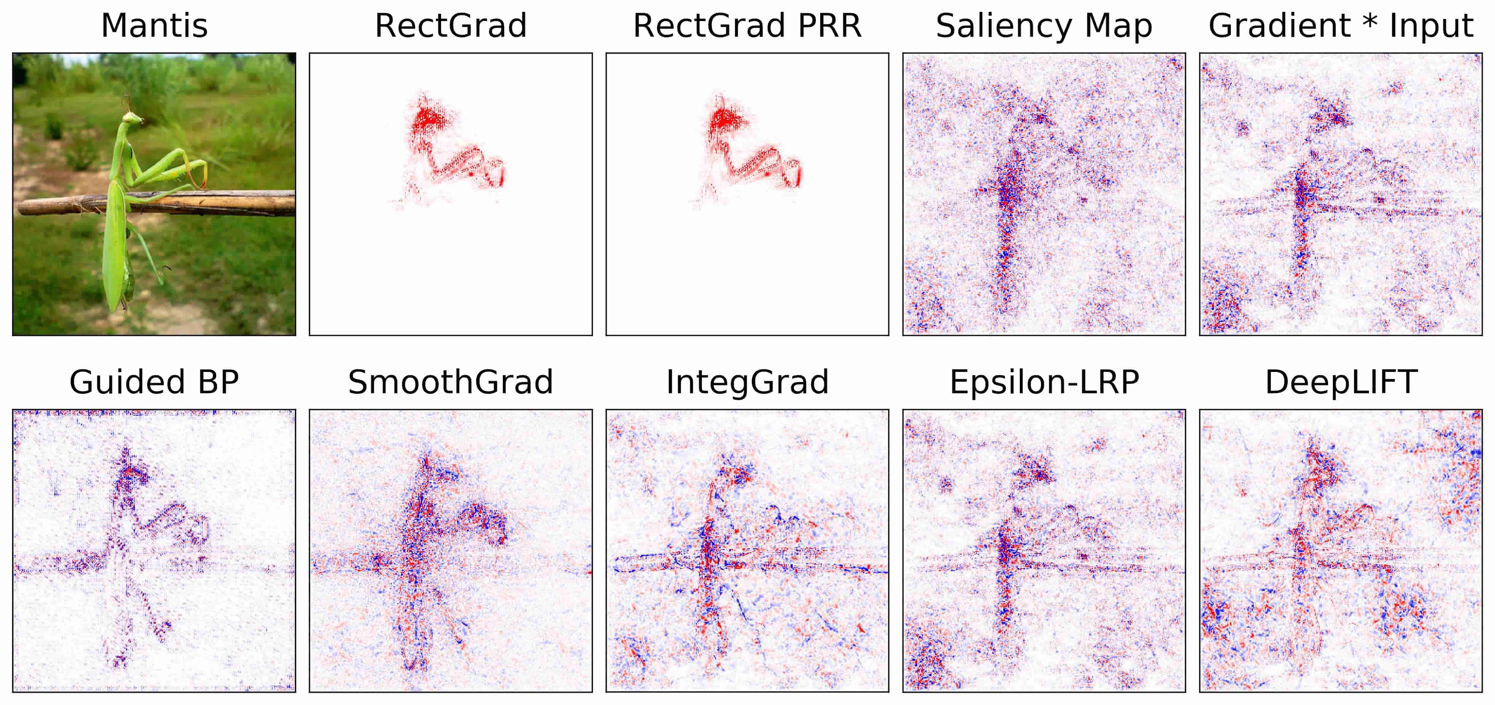 Why are Saliency Maps Noisy? Cause of and Solution to Noisy Saliency Maps | DeepAI