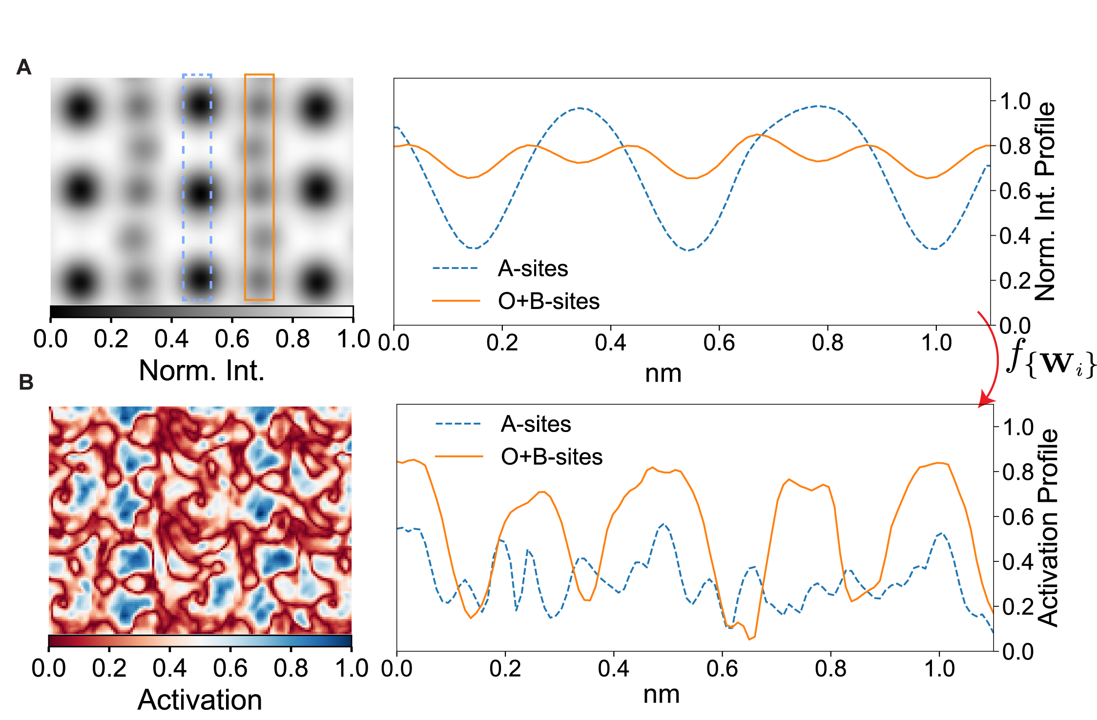 Reconstruction of 3-D Atomic Distortions from Electron Microscopy with ...