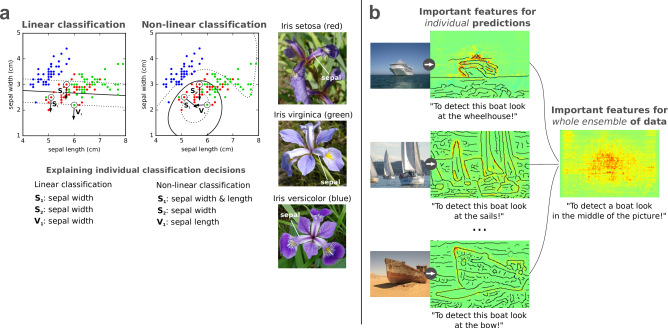 Unmasking Clever Hans Predictors and Assessing What Machines Really Learn | DeepAI