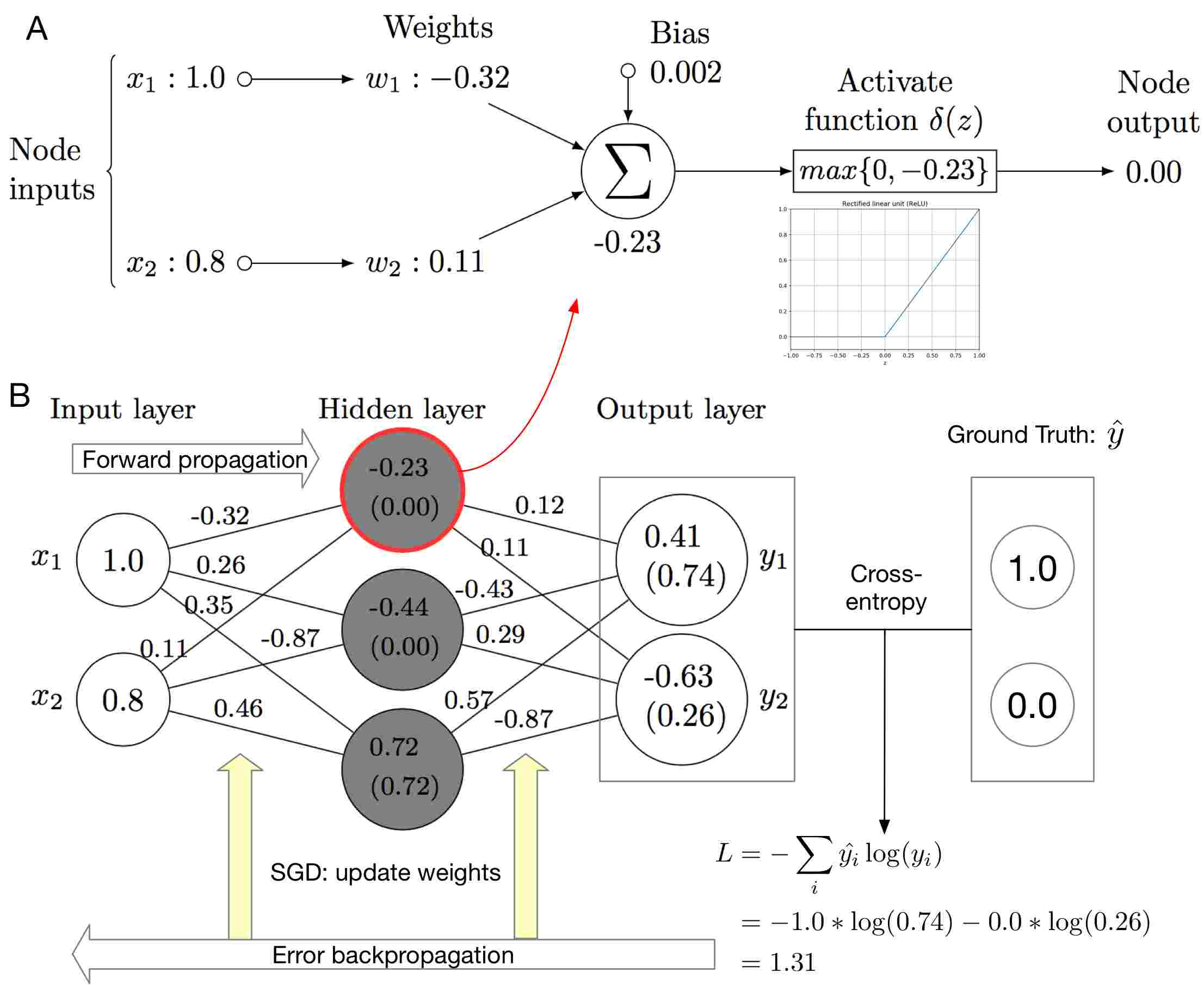 Deep learning in bioinformatics: introduction, application, and ...