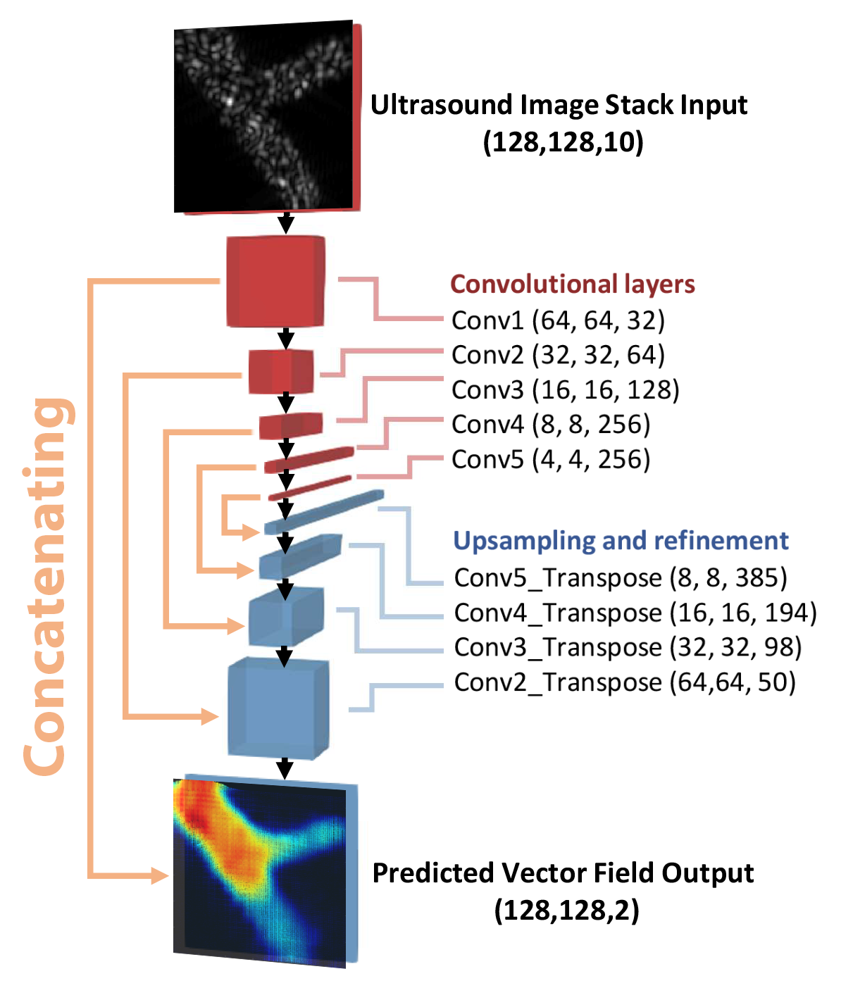Demonstration of Vector Flow Imaging using Convolutional Neural ...