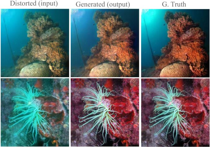 Fast Underwater Image Enhancement for Improved Visual Perception | DeepAI