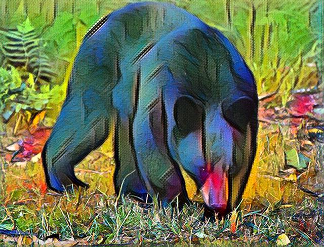 Srm A Style Based Recalibration Module For Convolutional Neural Networks Deepai