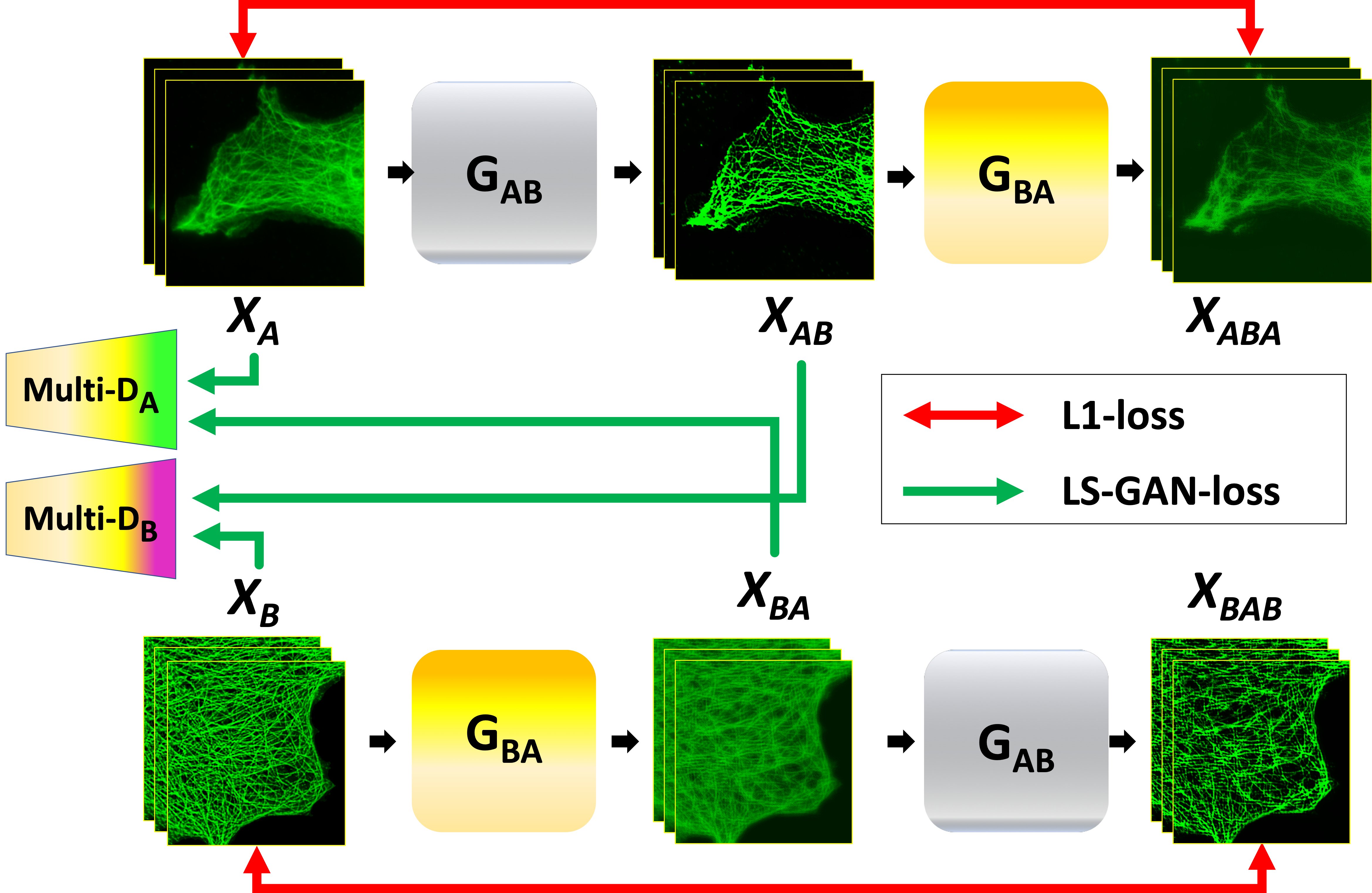 Blind Deconvolution Microscopy Using Cycle Consistent Cnn With Explicit Psf Layer Deepai