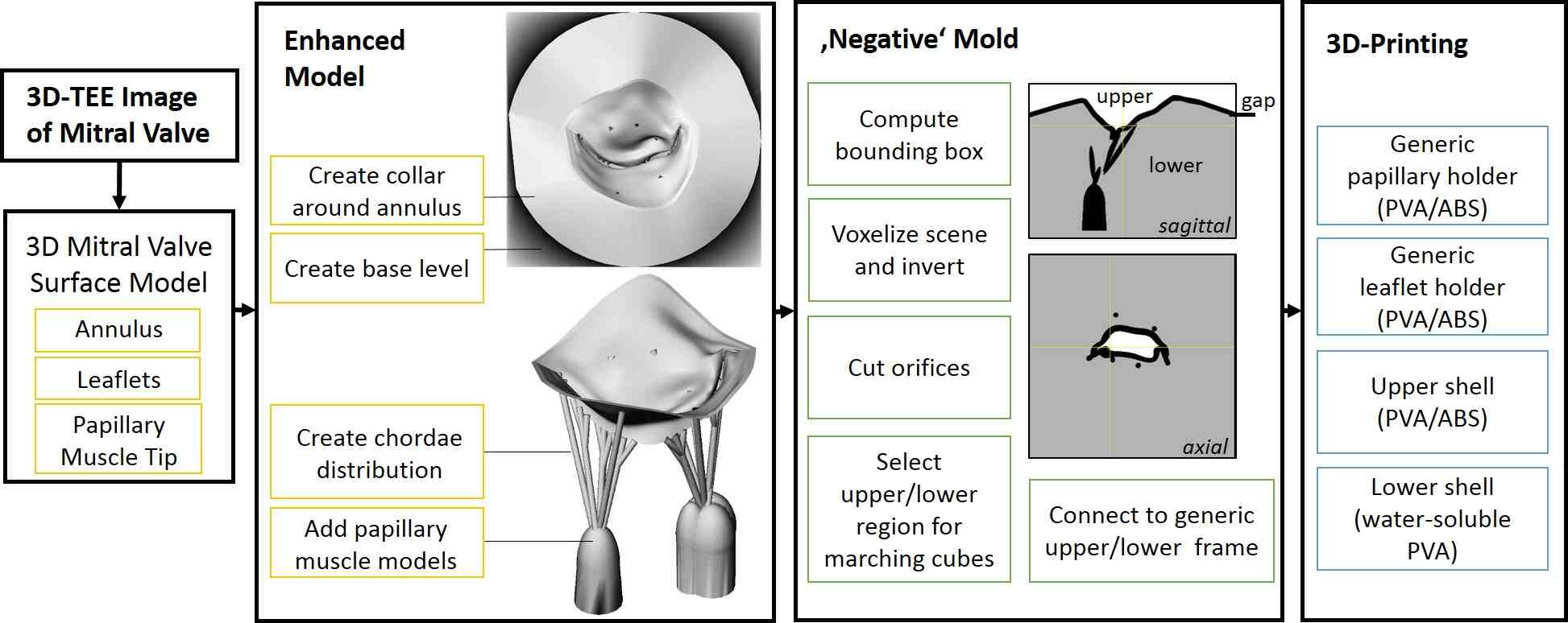Flexible and Comprehensive Patient-Specific Mitral Valve Silicone ...