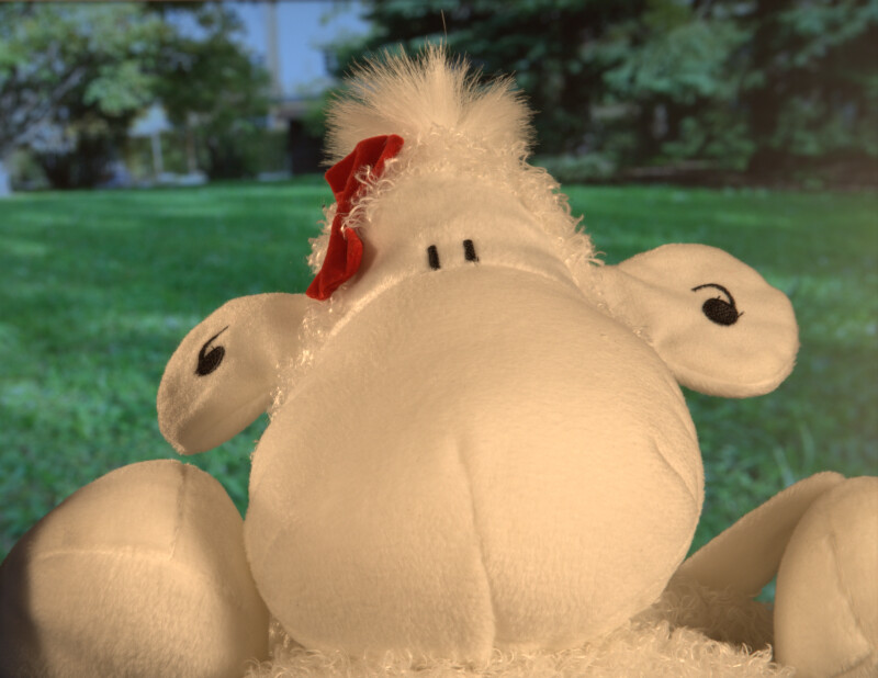 Instance Segmentation based Semantic Matting for Compositing Applications | DeepAI