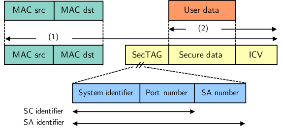 P4-MACsec: Dynamic Topology Monitoring and Data Layer Protection with ...