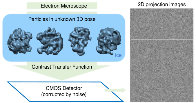 Cryo-Electron Microscopy Image Analysis Using Multi-Frequency Vector Diffusion Maps | DeepAI