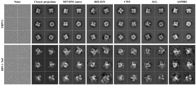 Cryo-Electron Microscopy Image Analysis Using Multi-Frequency Vector Diffusion Maps | DeepAI