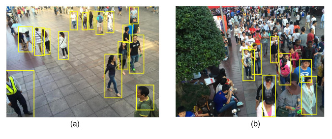 High-frequency crowd insights for public safety and congestion control ...