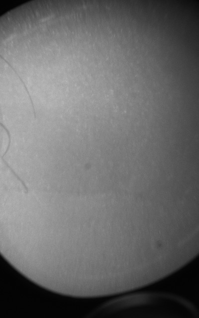 OpenEDS: Open Eye Dataset | DeepAI