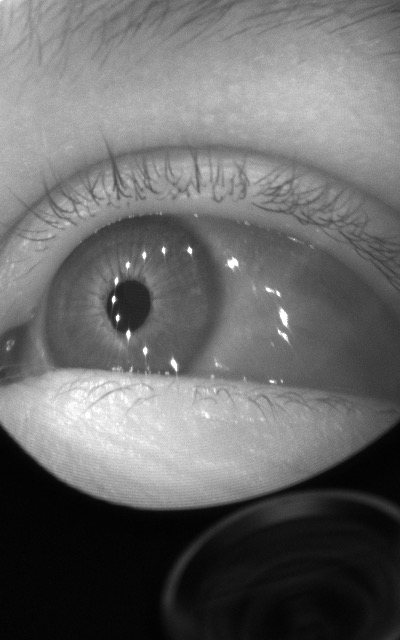 OpenEDS: Open Eye Dataset | DeepAI