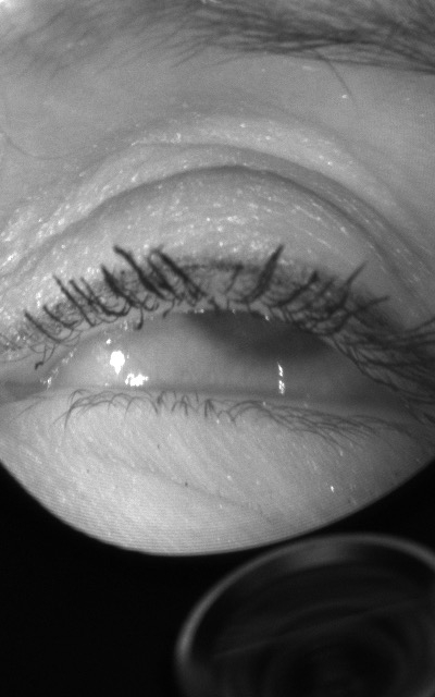 OpenEDS: Open Eye Dataset | DeepAI