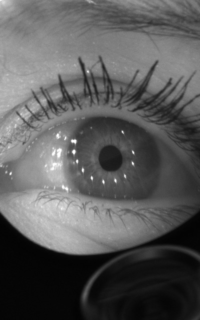 OpenEDS: Open Eye Dataset | DeepAI