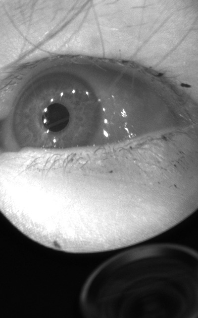 OpenEDS: Open Eye Dataset | DeepAI