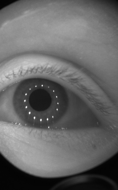 OpenEDS: Open Eye Dataset | DeepAI