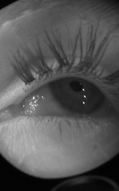 OpenEDS: Open Eye Dataset | DeepAI