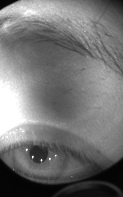 OpenEDS: Open Eye Dataset | DeepAI