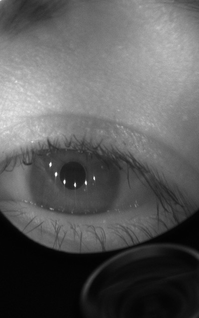 OpenEDS: Open Eye Dataset | DeepAI