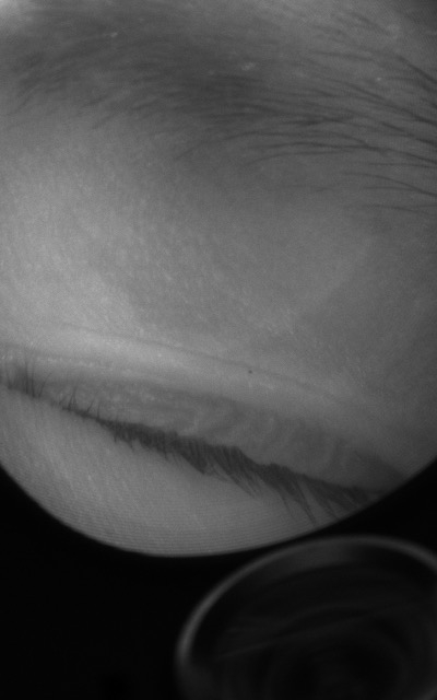 OpenEDS: Open Eye Dataset | DeepAI