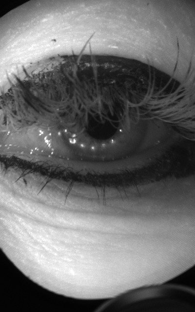 OpenEDS: Open Eye Dataset | DeepAI