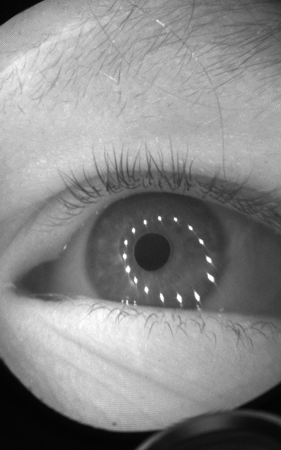 OpenEDS: Open Eye Dataset | DeepAI